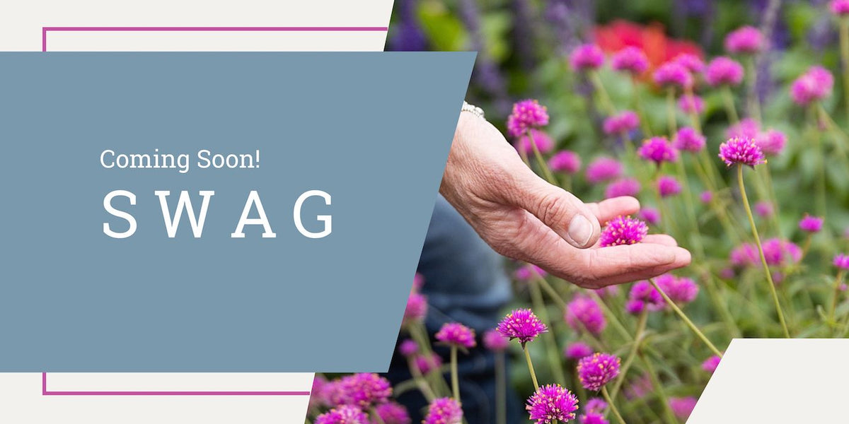 Swag – The Lifescape Coach